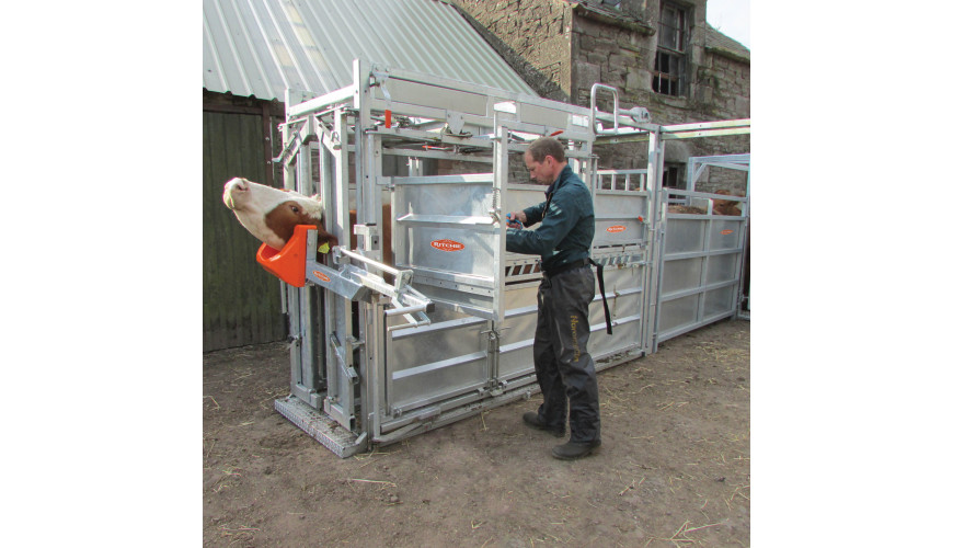 Ritchie Squeeze Crate with Automatic Yoke | G Richardson Agri